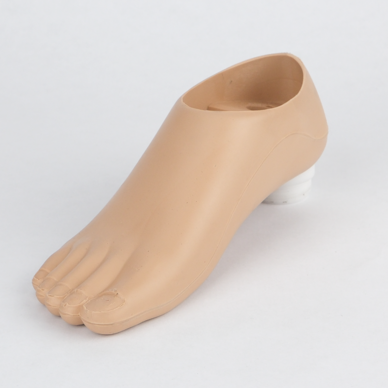 Proted Prosthetics & Orthotics