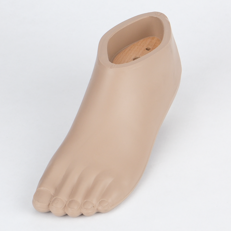 Proted Prosthetics & Orthotics